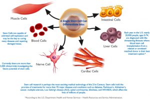 About Regenerative Medicine | AStepX | Advanced Stem Cell Education